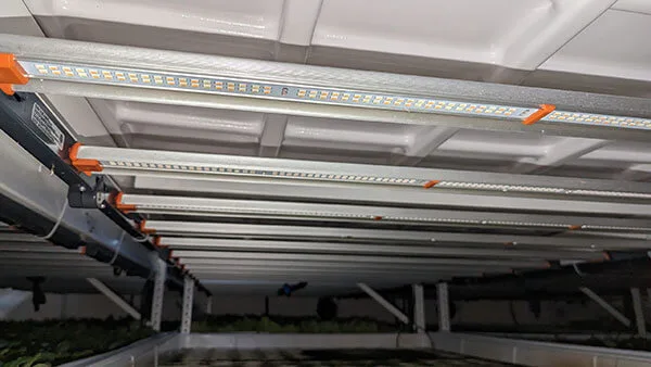 Fluence Spyder 2x LED Grow Light System with Full-Spectrum, Dimmable ...